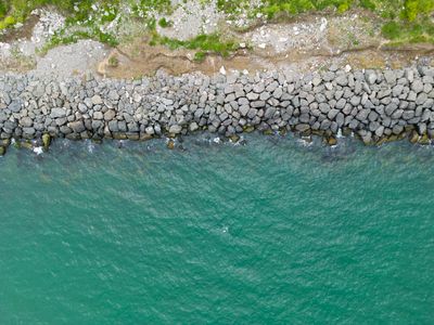 IMarEST | President's Lecture: Reefs vs Manmade Structures