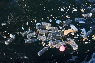 IMarEST | Managing dry waste at sea in spotlight