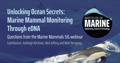 IMarEST | Unlocking Ocean Secrets: Marine Mammal Monitoring Through eDNA