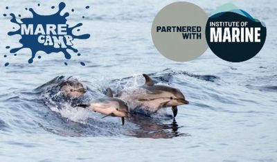 IMarEST | IMarEST partners with Marecamp Association