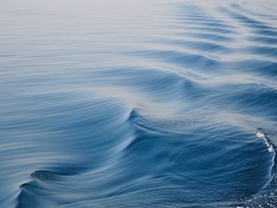 IMarEST | Five things we learned from the Ocean State Report