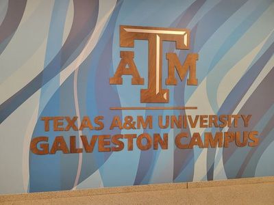 IMarEST | IMarEST Houston Branch Visit to Texas A&M University ...